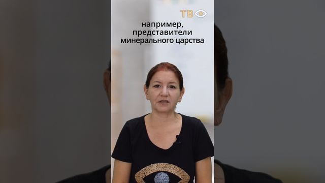 В каких созвездиях есть разумная жизнь?