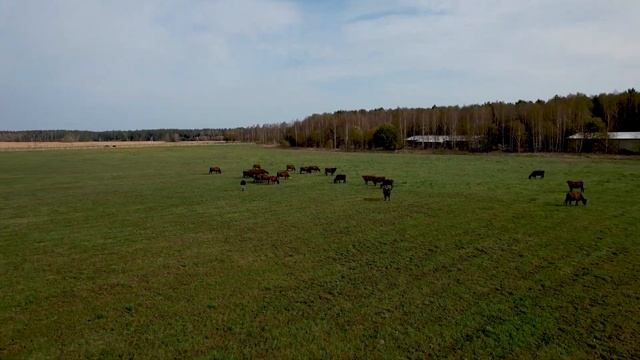 Туристический конноспортивный комплекс "Карамат" с высоты птичьего полёта