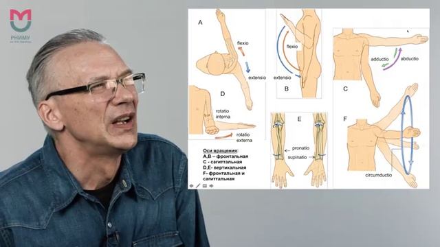 Лекция 7. Артросиндесмология