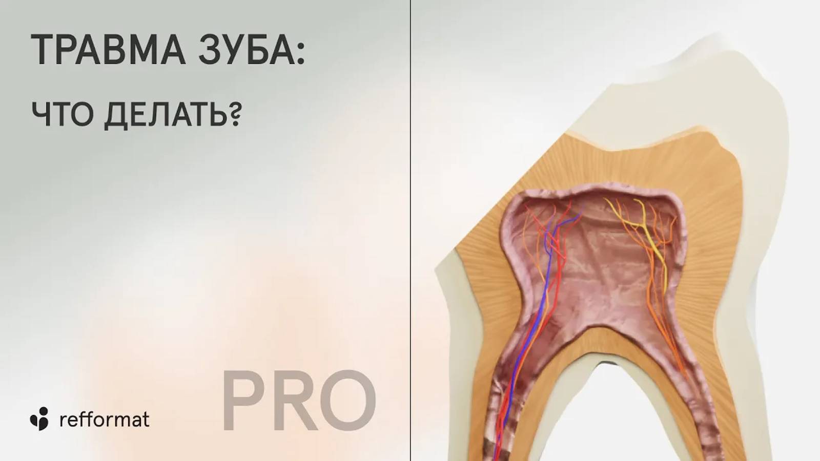 🤔 Травма зуба: что делать?