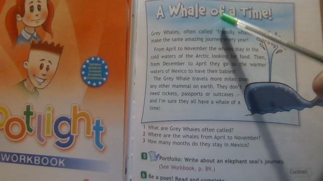 4 класс Модуль 4 Английский в фокусе стр. 63 Текст о серых китах