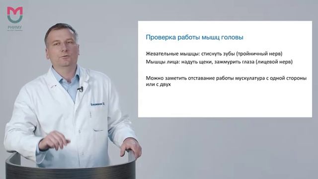 Лекция 2. Функциональная анатомия мышц головы и шеи