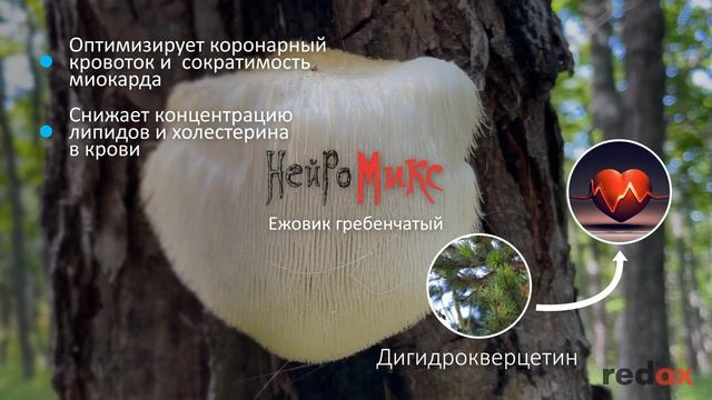 Комплекс НейроМикс