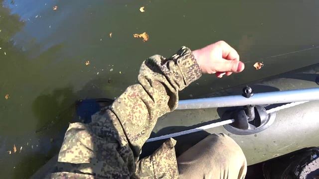 Осенняя рыбалка 2024. Щука на кружки в зарослях. Осенний жор рыбы начался.