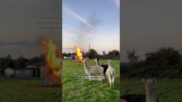 * Было бы очень смешно, если бы не было правдой 😅😁 / фотограф из Омска Андрей Беляев