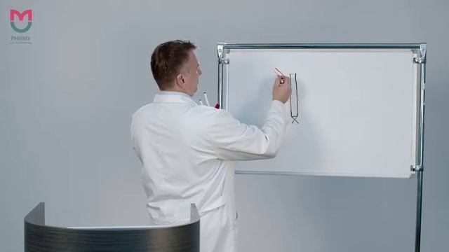 Лекция 4. Функциональная анатомия мышц конечностей