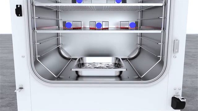 Новый CO2 инкубатор Binder C150