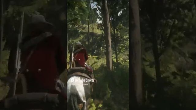 Red Dead Redemption 2. Лошадь учит Артура летать