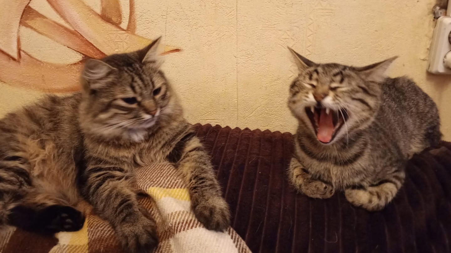 нужно больше мьюнинга