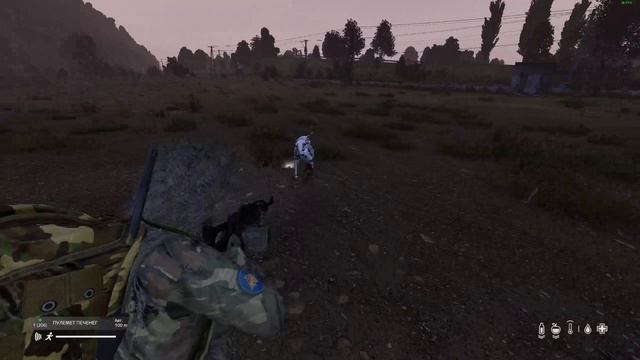 Dayz Standalone // Лиса