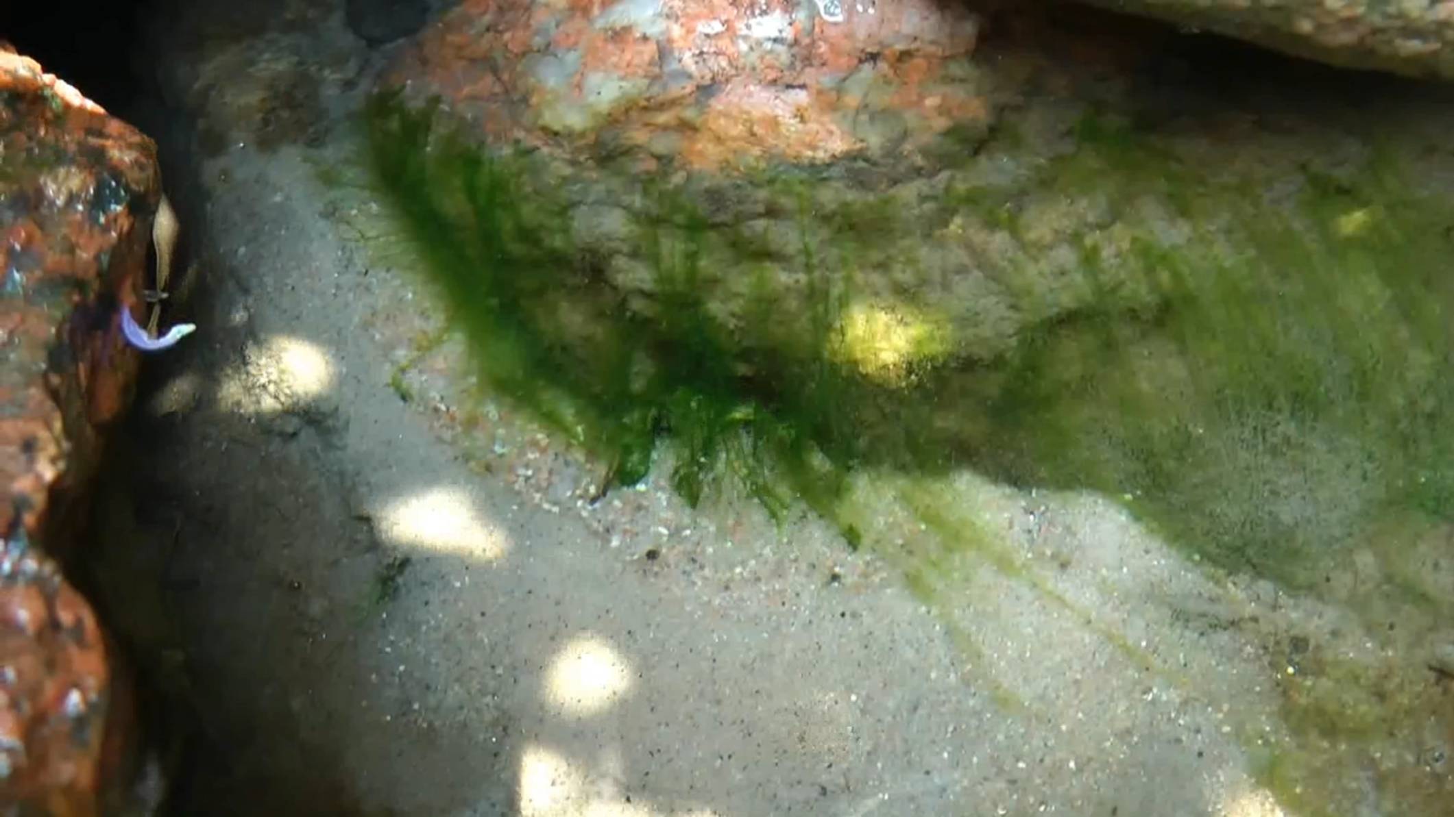 Обретение святой кринички в Ст. Пашково