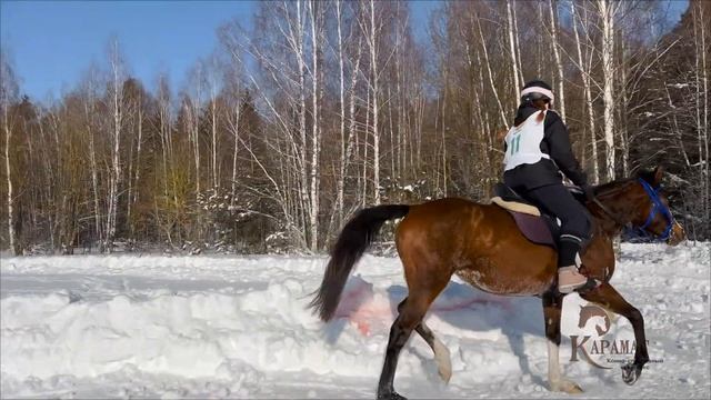 Конные пробеги в КСК КАРАМАТ 10.02.2024