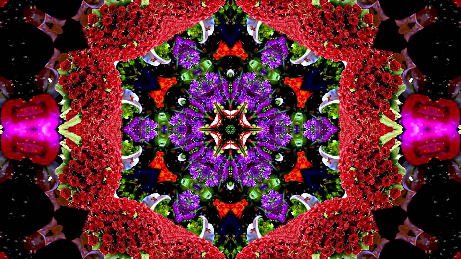 ФотоШоу PRO! Проект ФотоШоу PRO 10 С Днём Рождения! Букеты роз от Киностудии Мудрого Кота Тимофея!