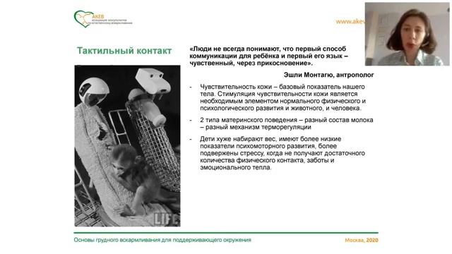 3. 2020 09 23 курс мам Занятие 2  Физические потребности ребенка