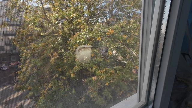 в больнице/все сидят голодные/устроили приятный вечер 3.10.2024