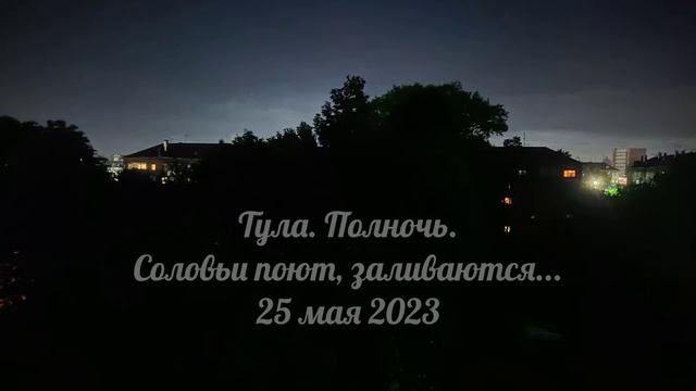 Тула. Полночь. Соловьи поют, заливаются...
