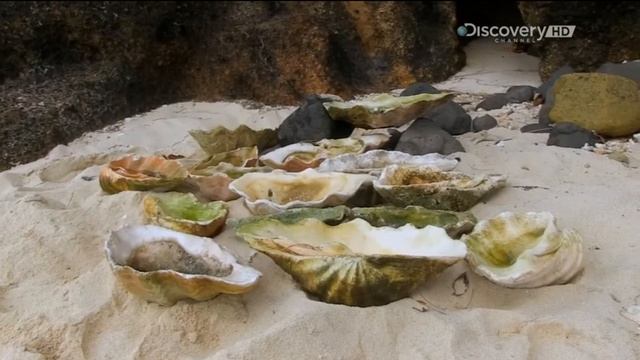 ВЫЖИВАНИЕ БЕЗ КУПЮР 1 СЕЗОН 1 СЕРИЯ. НЕОБИТАЕМЫЙ ОСТРОВ