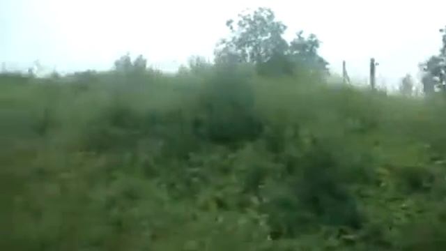 Прибытие на станцию Коноша 1 поезда №42 Москва - Воркута.