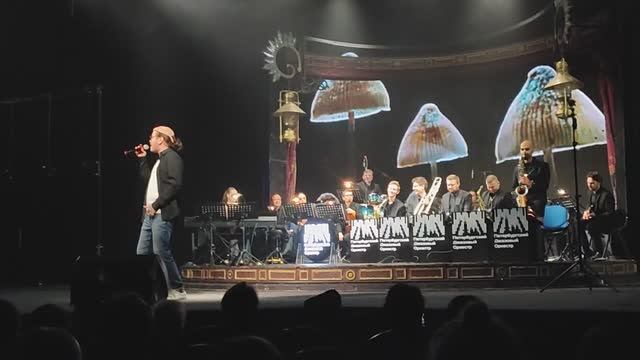 ТОКСИЧНЫЙ ХИТ  (посв. С. Курёхину) live : исп. Г. Юхнюк / муз. П. Иванов, сл. А. Дмитриенко (LEKA)