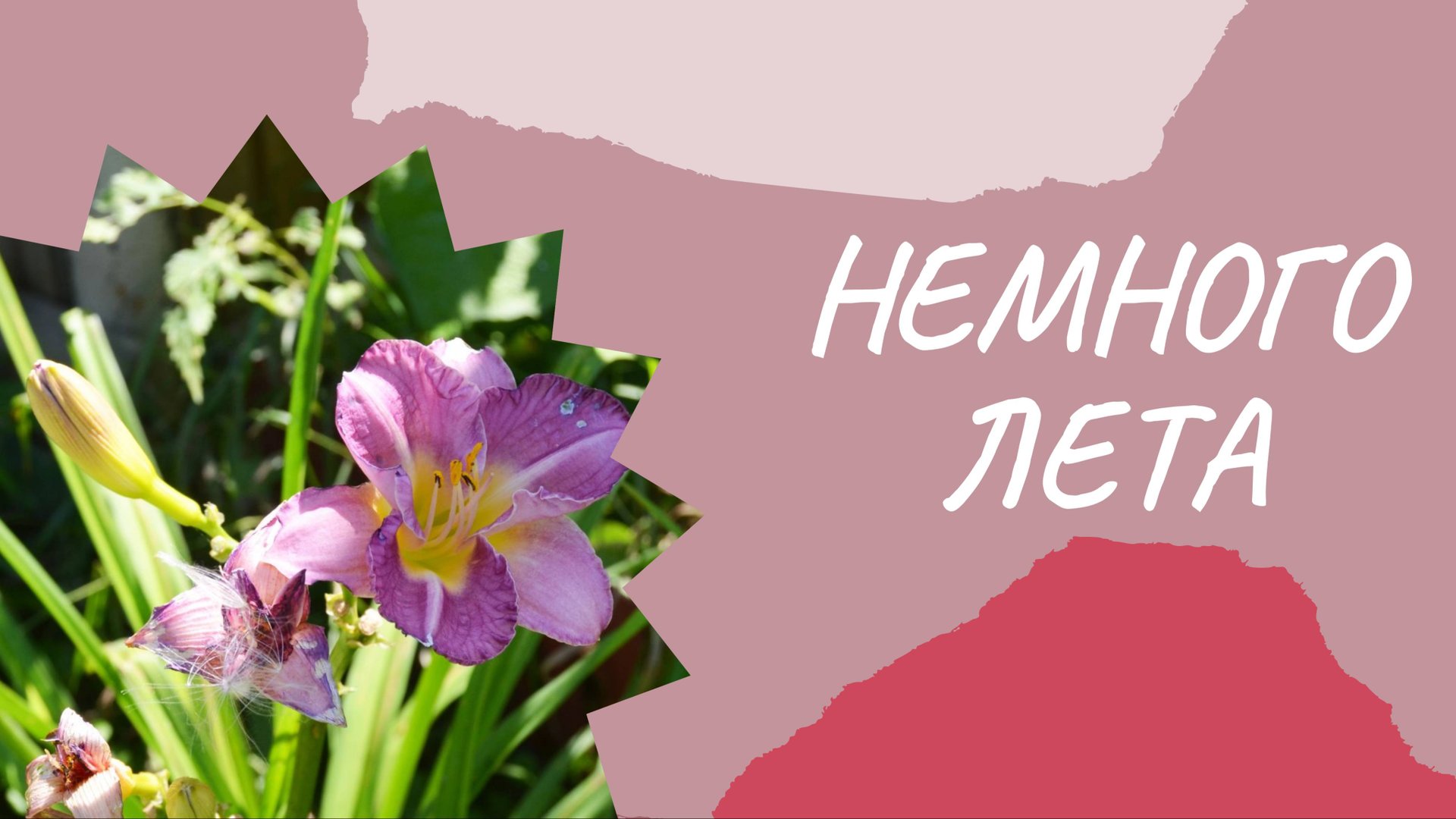 Немного лета. Медитативное видео