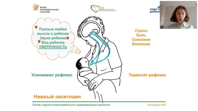 2. 2020 09 23 курс мам 1 занятие  Физиология лактации