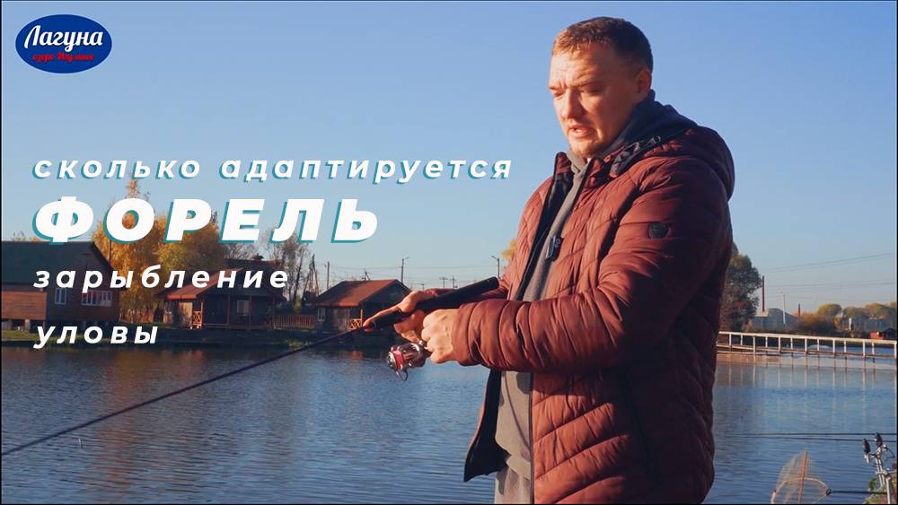 Адаптация рыбы в водоёме. Зарыбление форелью. Лагуна.