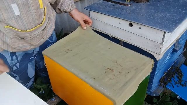 Вернулась ли матка с облета  признаки