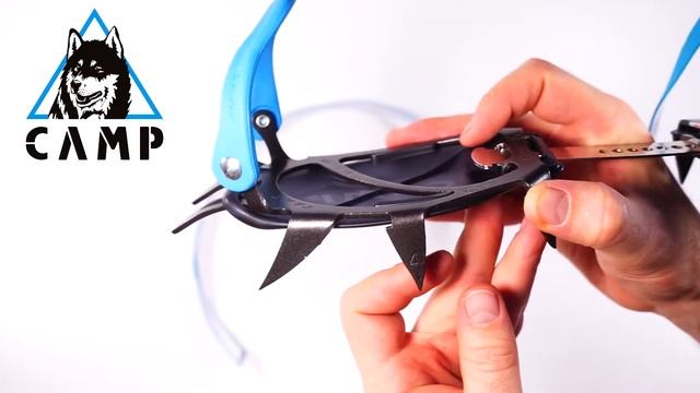 Кошки CAMP Stalker