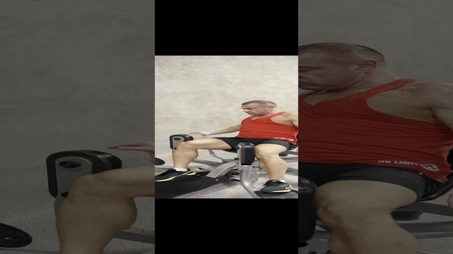 Сведение ног сидя в тренажёре Hoist