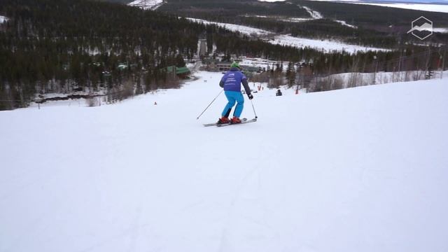 Горные лыжи Armada Declivity 82 Ti 2021-2022. Обзор