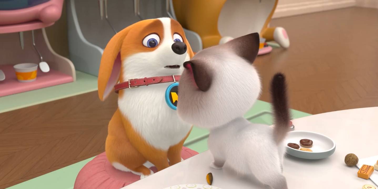 Корги по имени Моко. Домашние животные 2, 2 серия. До и после