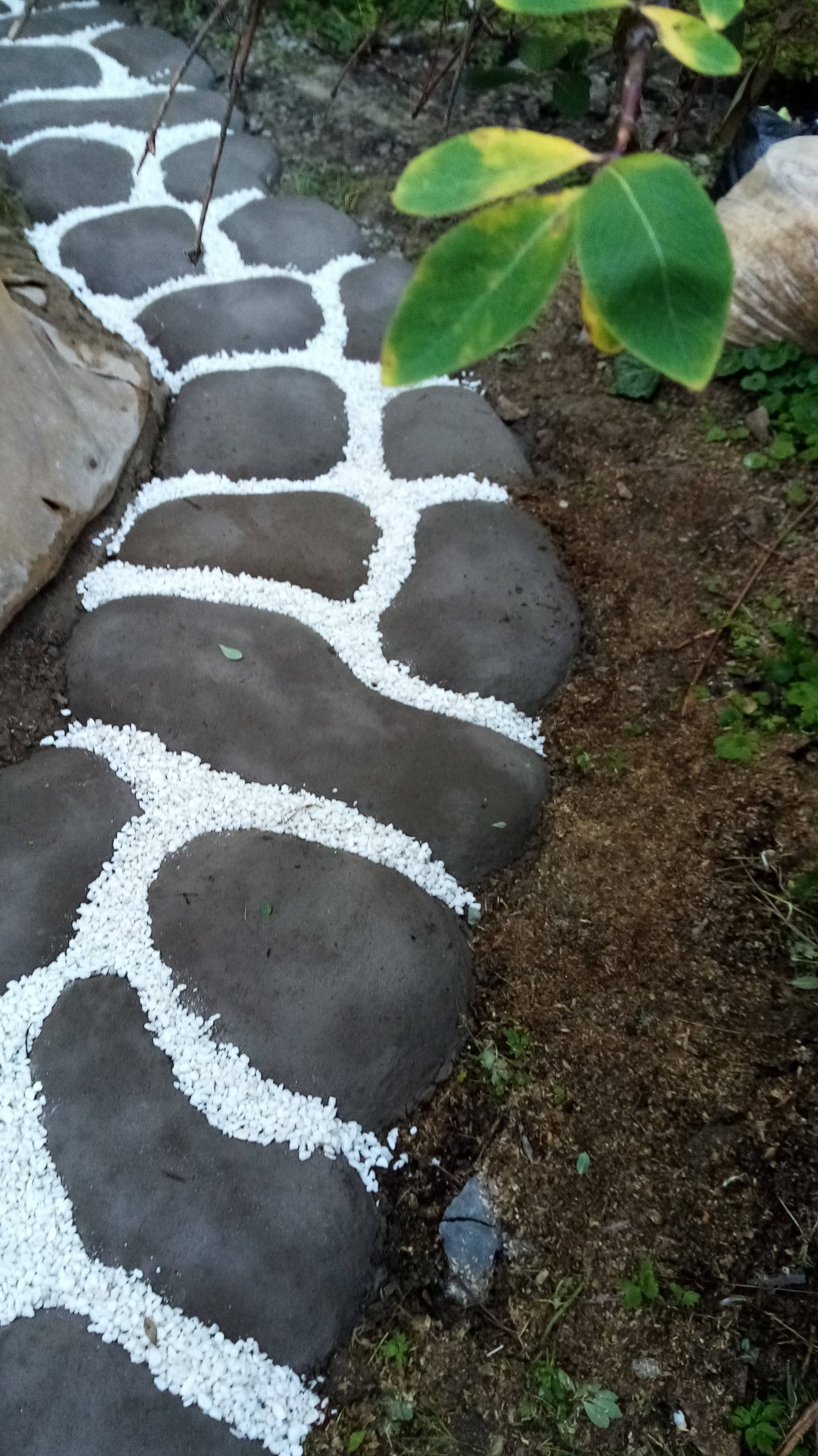 Бюджетныая садовая дорожка из бетона.