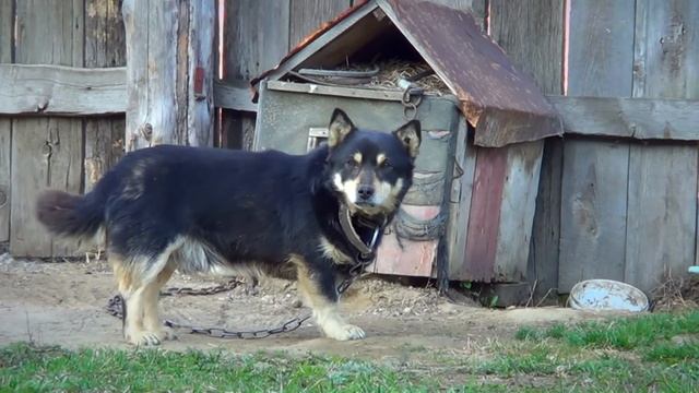 Сибирская глубинка эпизод