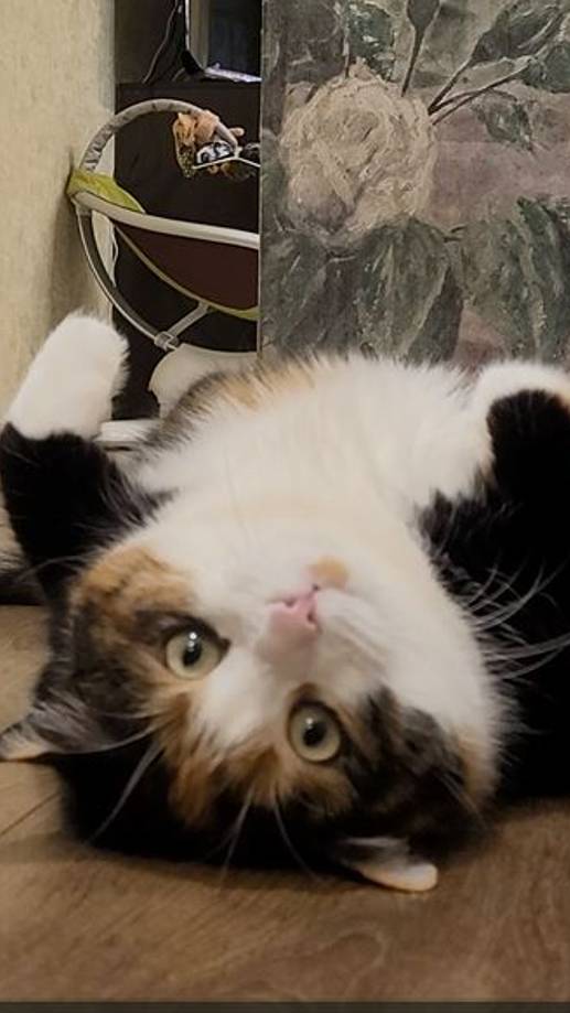 белый шум способствует медитации