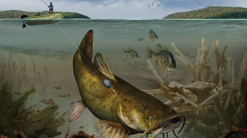 Ахрил рыбак и сом людоед