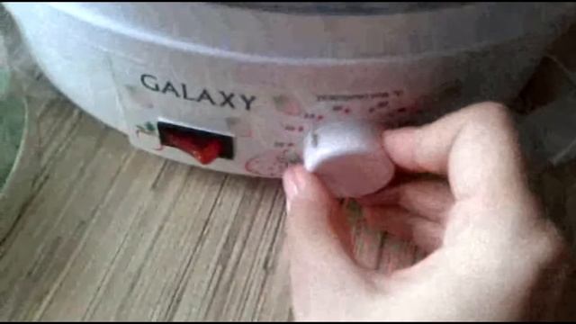 Как сушить томаты, чеснок на сушилке для овощей и фруктов Galaxy GL 2633