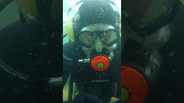 Серебряная серьга с янтарем #shorts