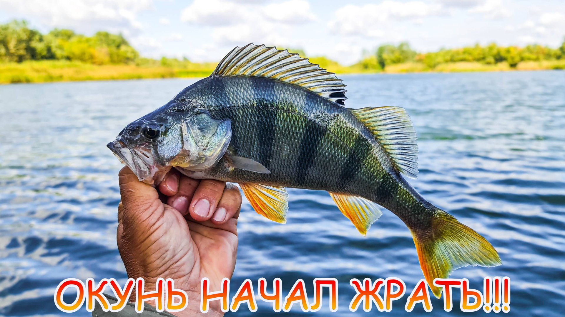 ОКУНЬ начал ЖРАТЬ!!! Отличная РЫБАЛКА на джиг!