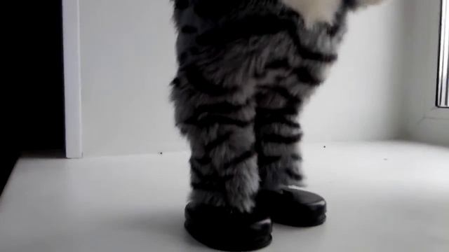 Танцующий кот. Смешной котяра )))