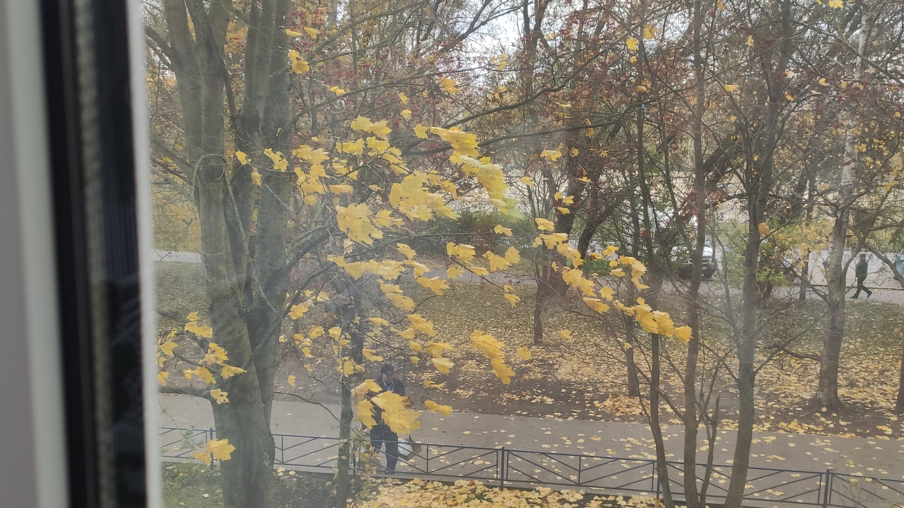 УЛИЧКА+ЛИСТЬЯ ЧТО БУДЕТ?