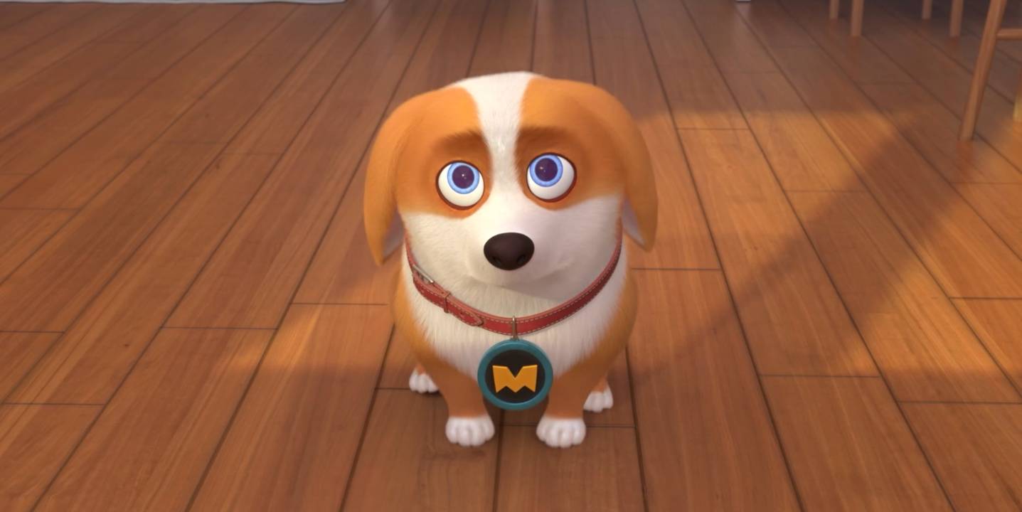 Корги по имени Моко. Простые истории, 13 серия. Око за око