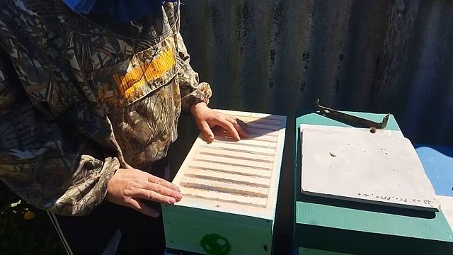 Старт доноров для нуклеусов