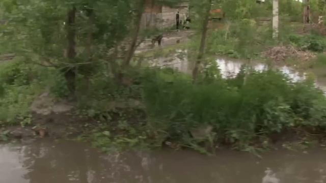 Паводок на Алтае, затоплены поселки