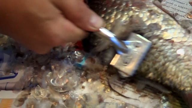 Чистка рыбы при помощи чистилки с зубчиками. Рыбочистка