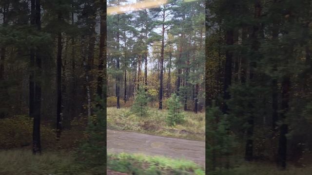 Shorts, Видео Поездов, Метро, Электричек БКЛ, МЦД