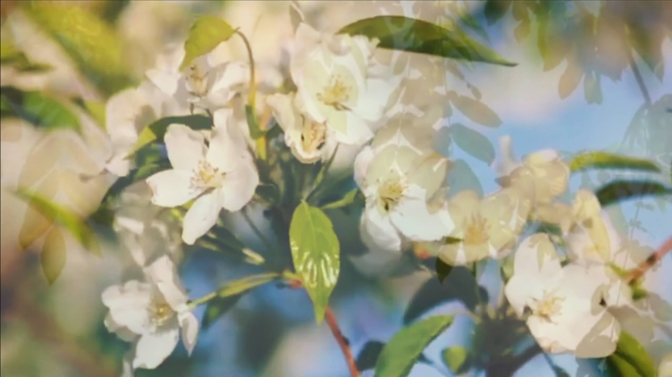 Картина 2. Сцена 3. "Одни мы губы любим...", "Печальный гимн".