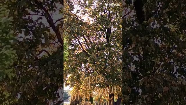 любимое место в посёлке