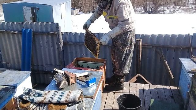 Важнейшие работы весной на пасеке