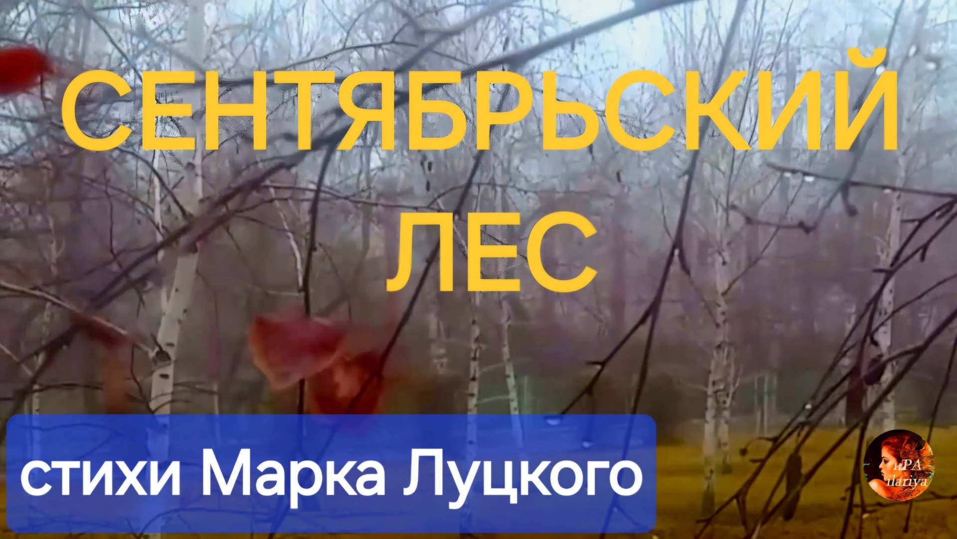 СЕНТЯБРЬСКИЙ ЛЕС стихи Марка Луцкого читает Инна Мень