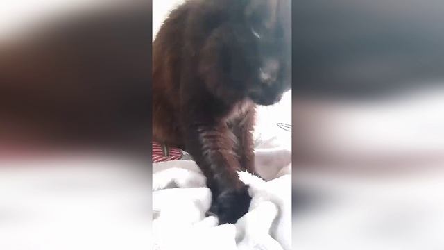 😜😜Профессиональная массажистка 💆♀️ Кира 😊